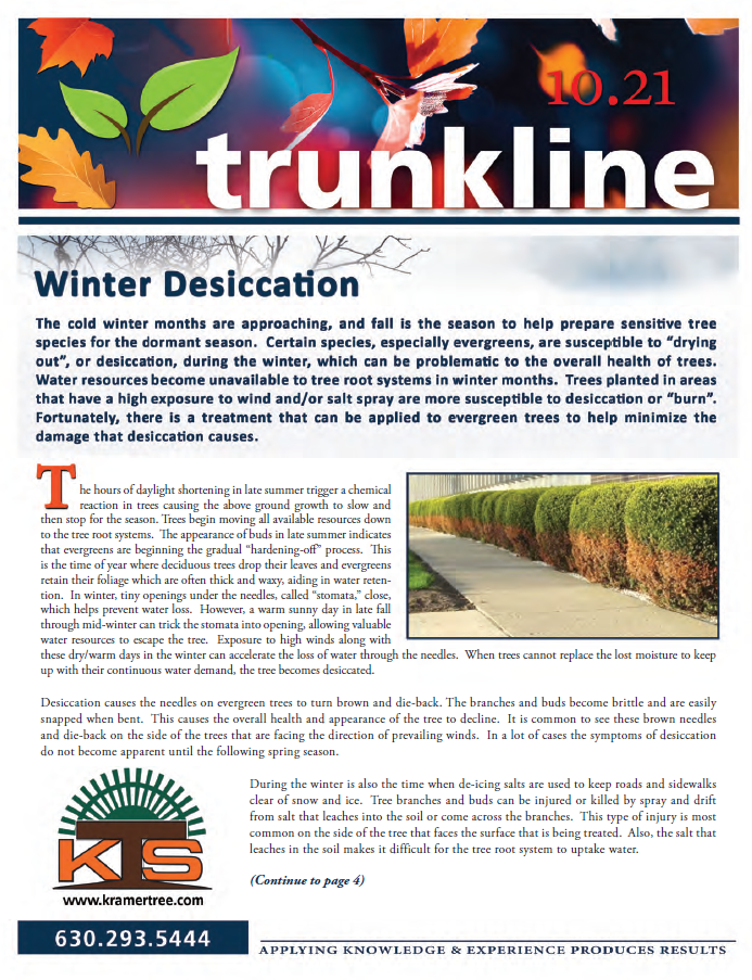 2021 Trunkline Fall – Kramer Tree Specialists